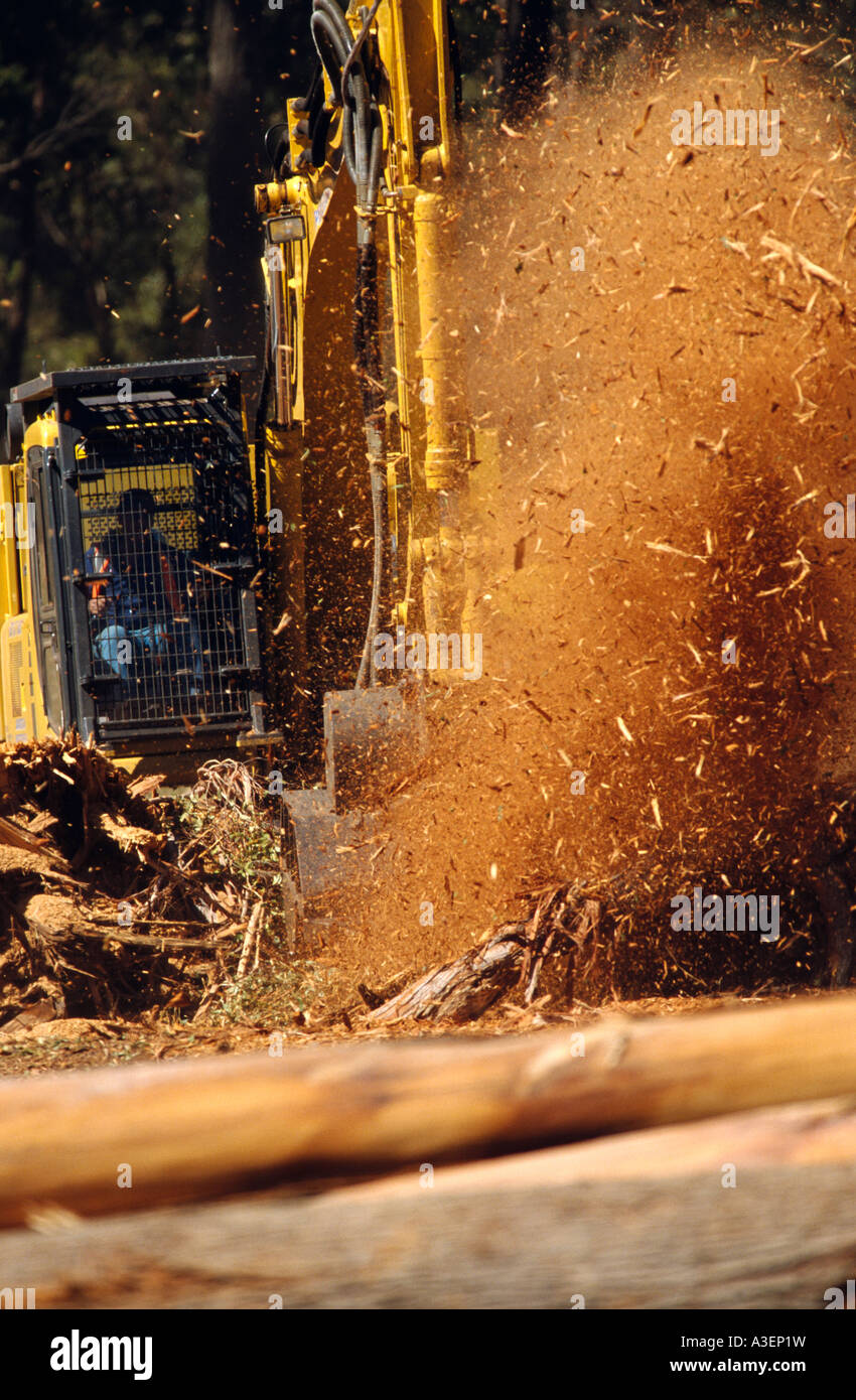 Removing tree stump, Australia Stock Photo - Alamy
