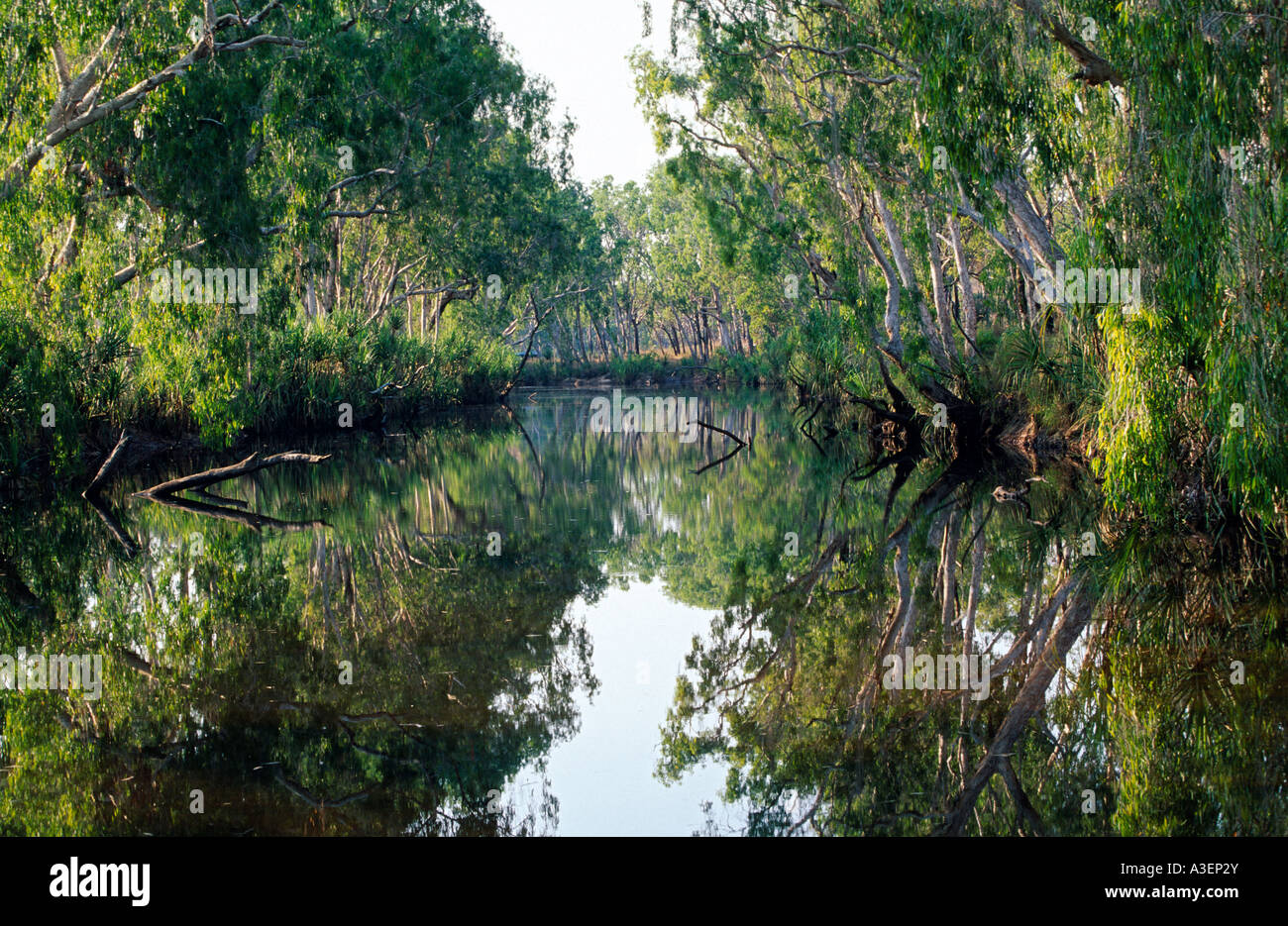Outback waterhole Western Australia Stock Photo - Alamy
