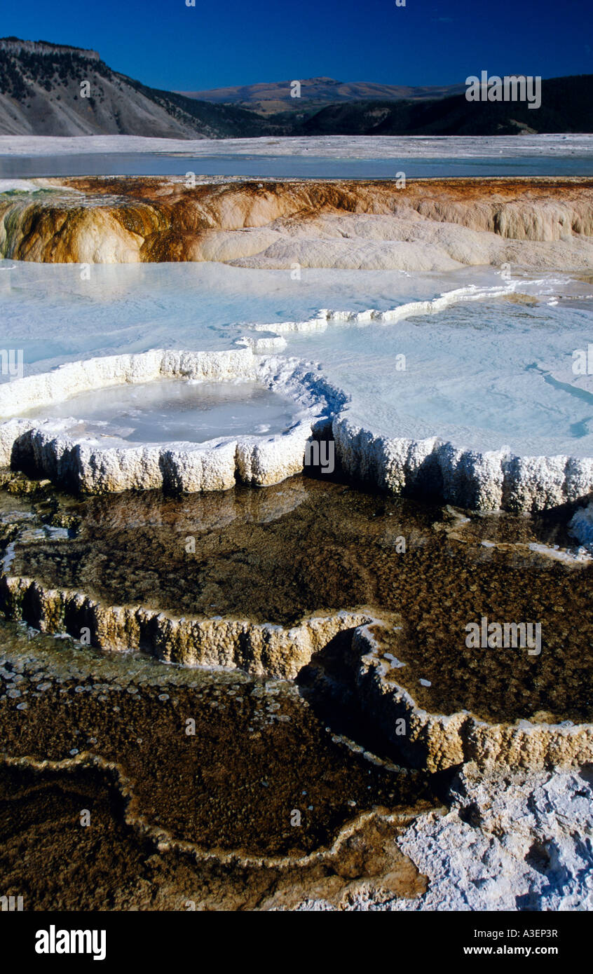Travertine calcium carbonate terraces Mammoth Hot Springs Yellowstone ...