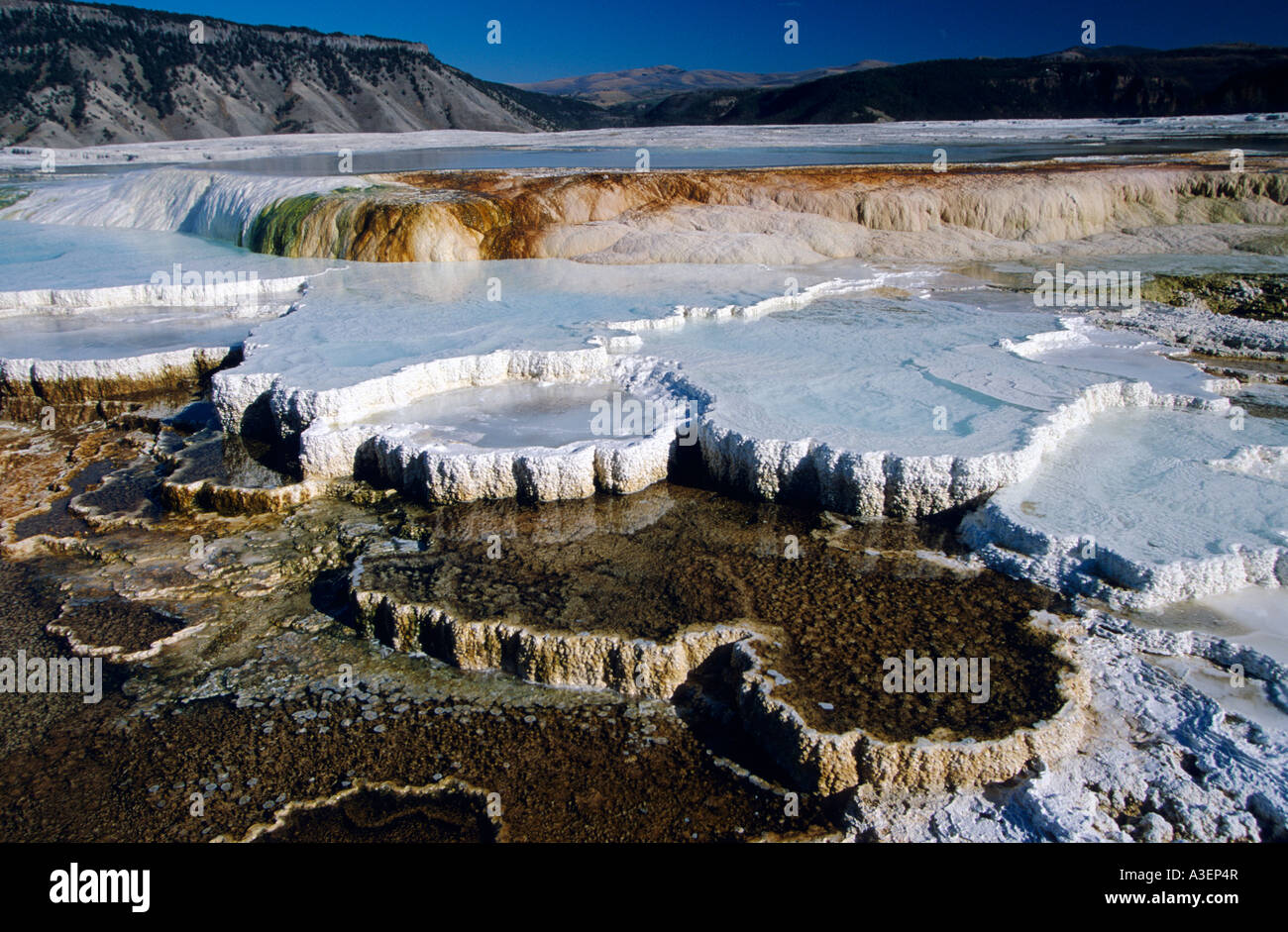 Travertine calcium carbonate terraces Mammoth Hot Springs Yellowstone ...