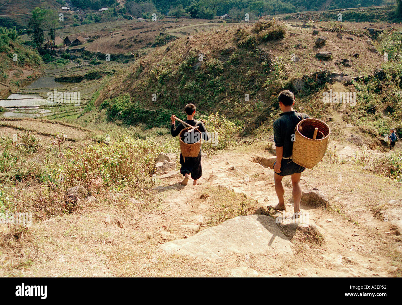 Hmong men going home after working in the fields with their traditional ...