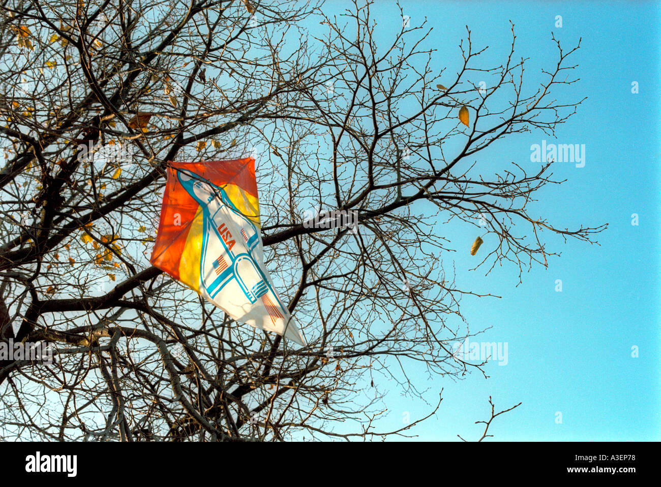 Kite tangled in tree branches hi-res stock photography and images - Alamy
