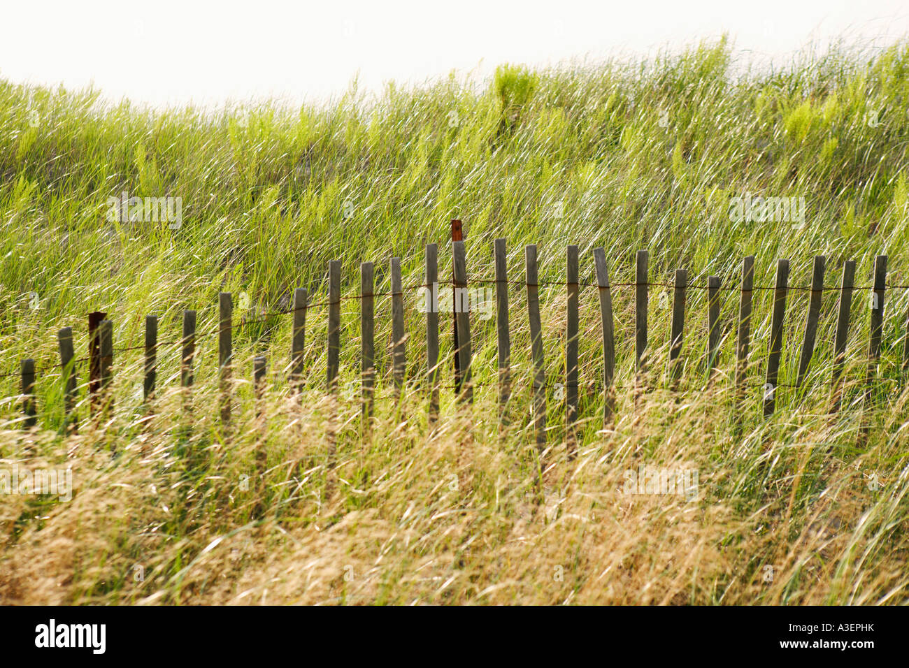 Fence in a field Stock Photo - Alamy