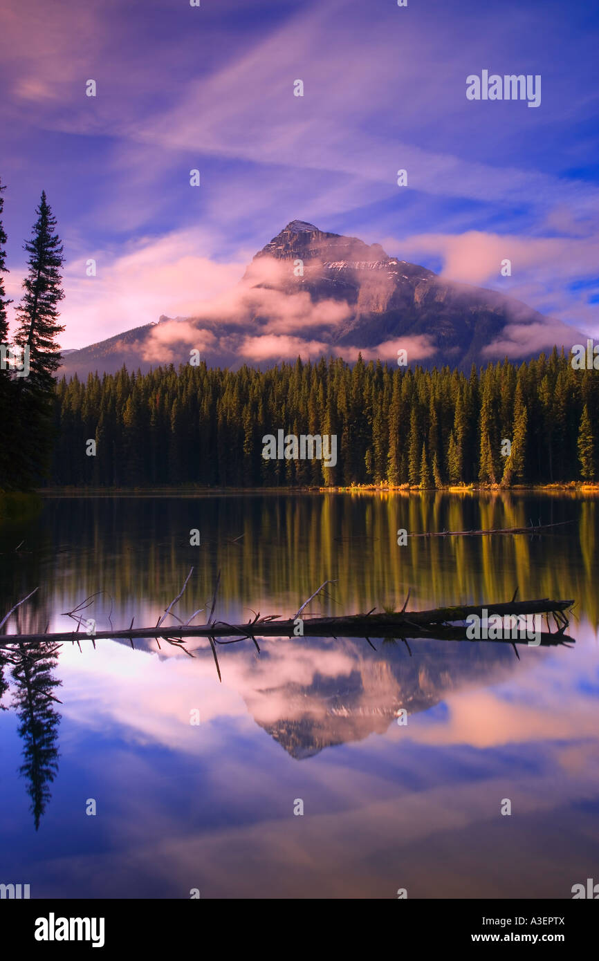Pilot images hi-res stock photography and images - Alamy