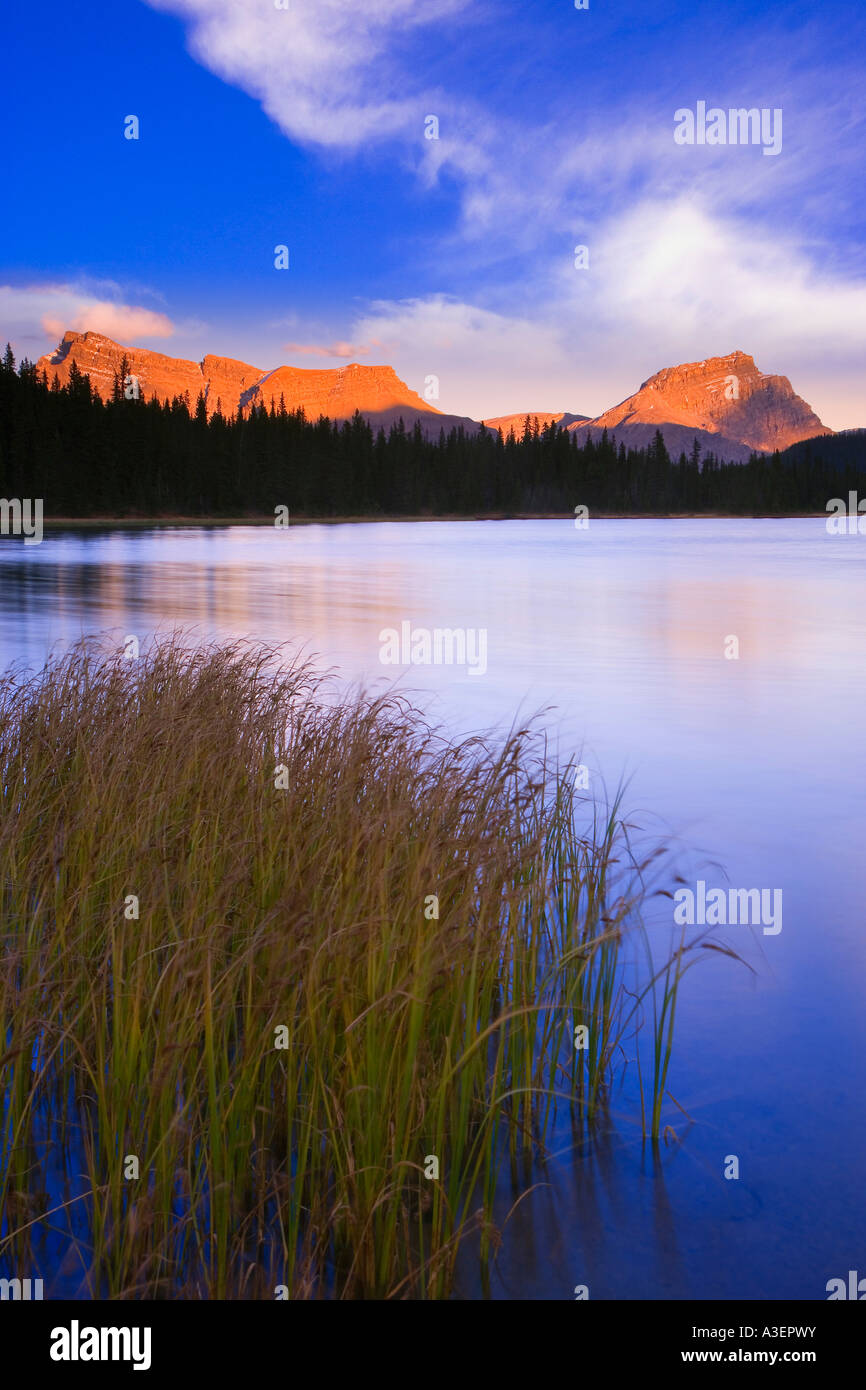 Bow Lake and Cascade Mountain in Banff, Alberta, Canada Stock Photo - Alamy