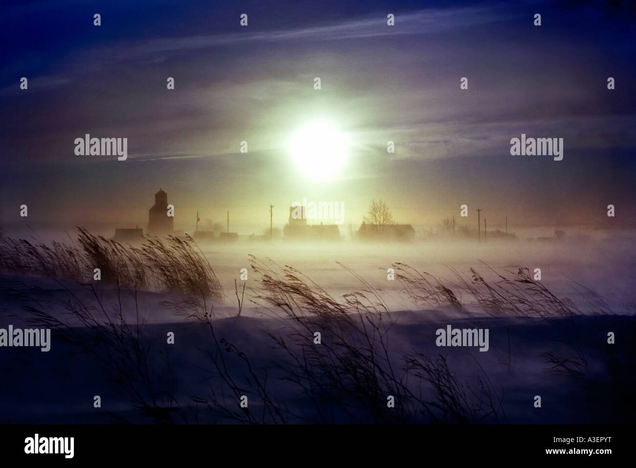 Blizzard [prairies winter storm] hi-res stock photography and images ...