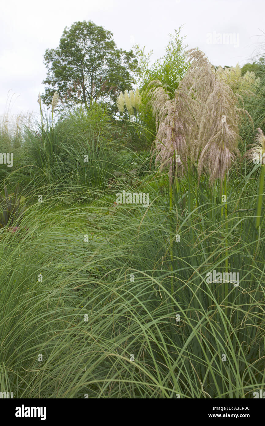 Hookhill Plantation Devon UK The Big Grass Company Alison and Scott ...