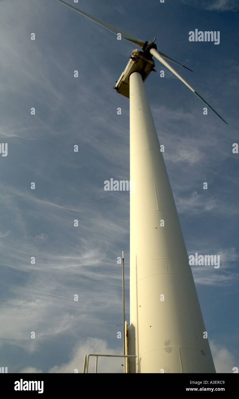 Wind farm at Blyth Harbour Northumberland Stock Photo - Alamy