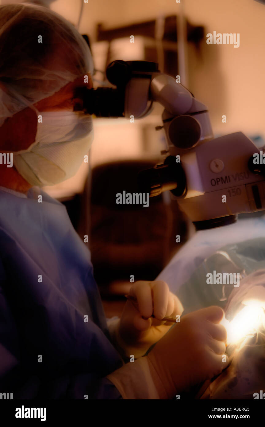 surgeon at microscope during procedure Stock Photo - Alamy