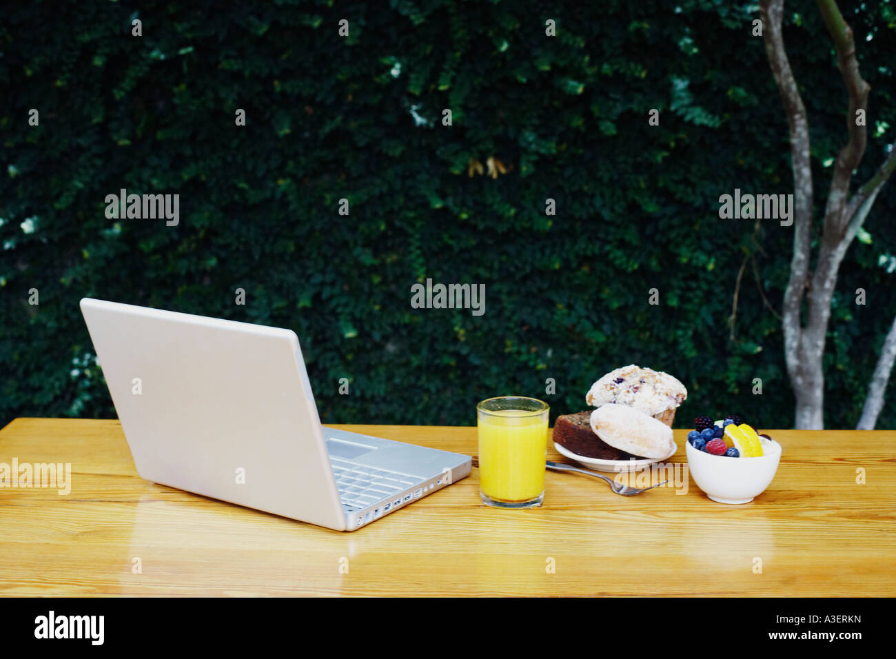 Health & efficiency hi-res stock photography and images - Alamy