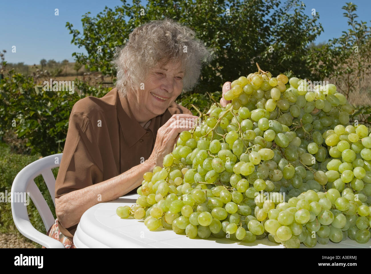 Grape orchardist in Spain Stock Photo - Alamy