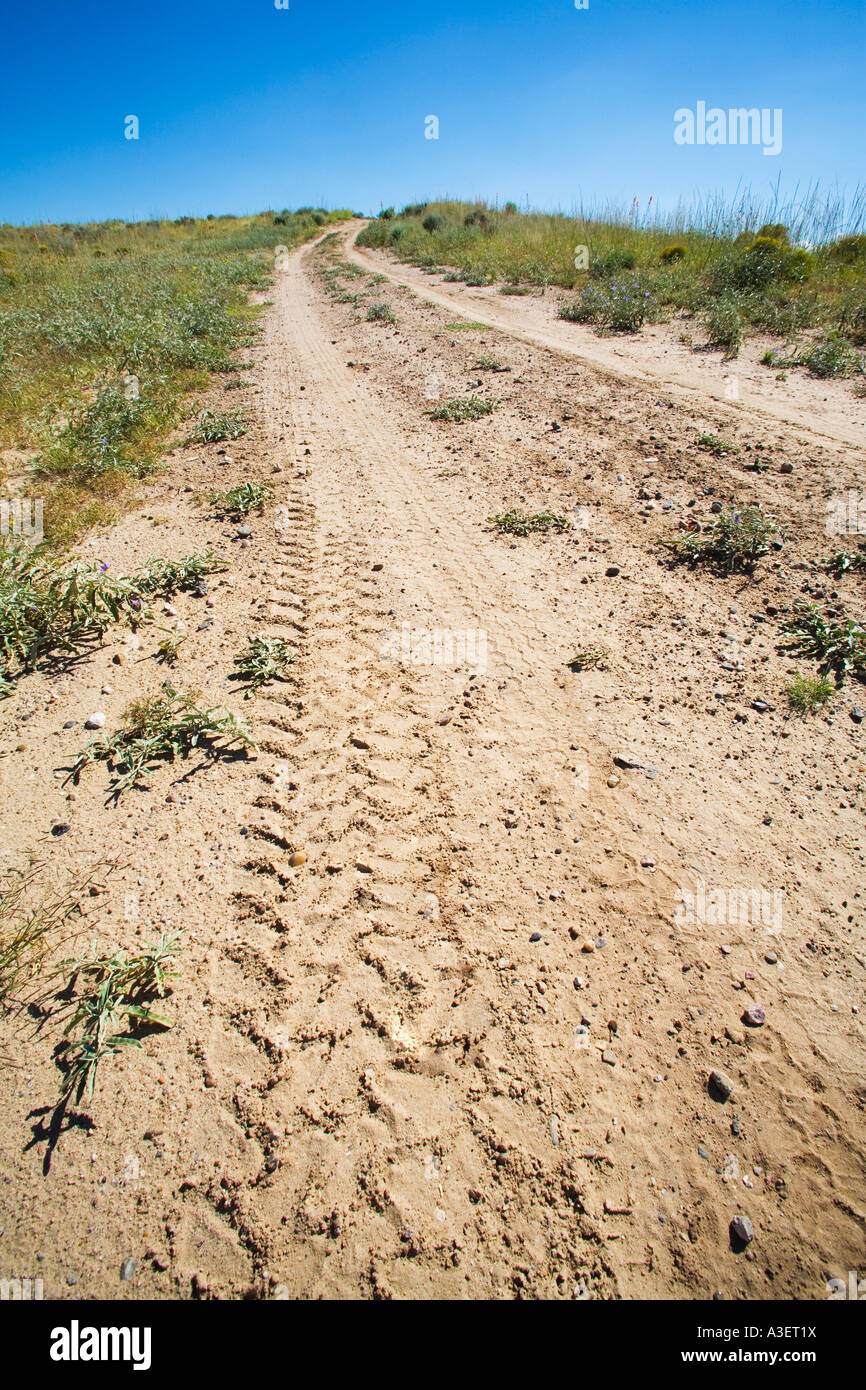 Dirt road with tire tracks Stock Photo - Alamy