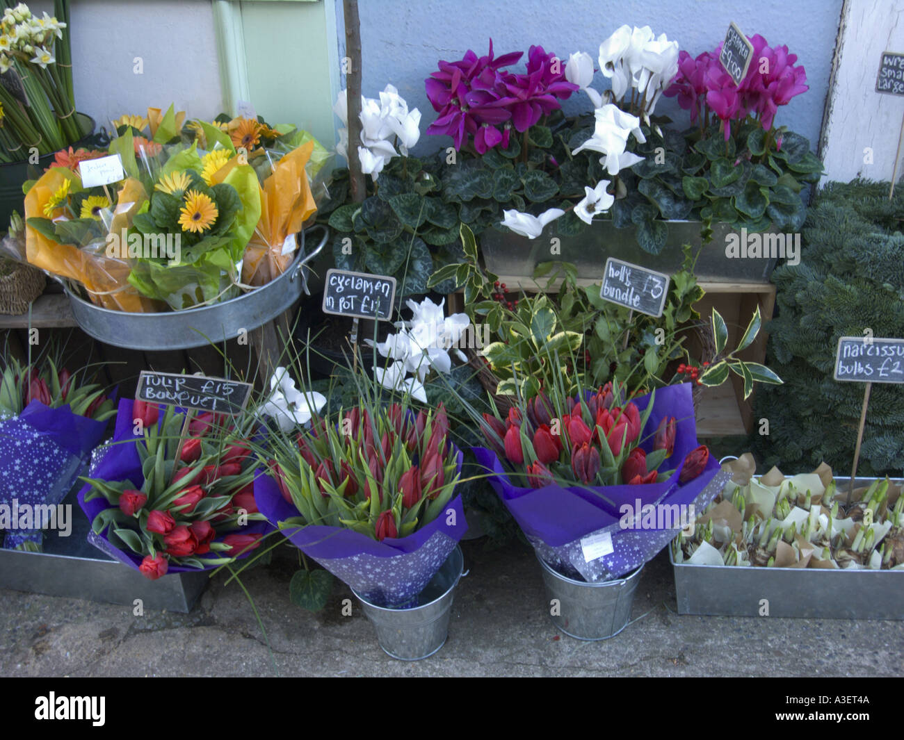 Mark bolton flowers hi-res stock photography and images - Alamy
