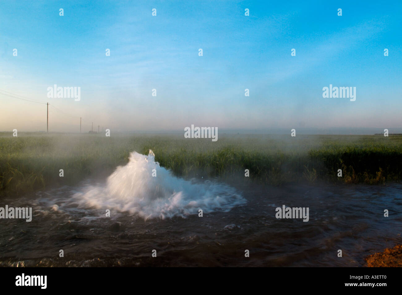 irrigation water at sunrise Stock Photo - Alamy