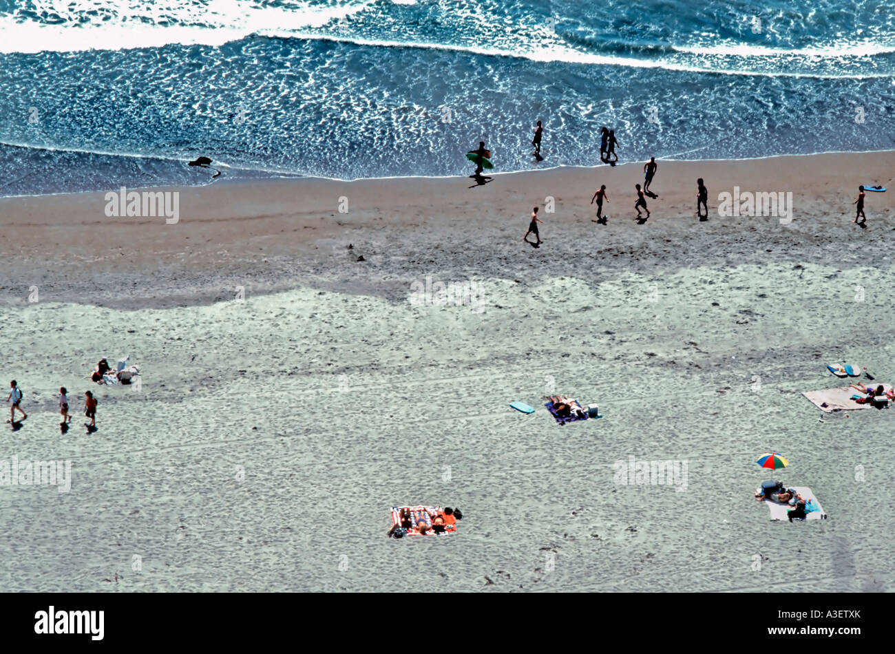 San Francisco, CA, USA, People on "Beach Scene" "Pacific Ocean" "Muir ...