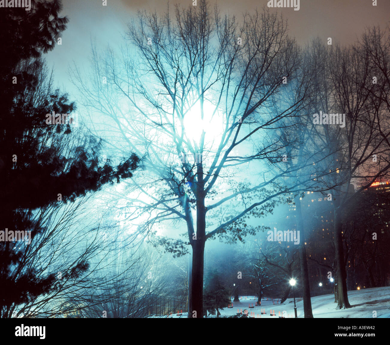 Dark mysterious cold creepy spotlight enigmatic hi-res stock ...