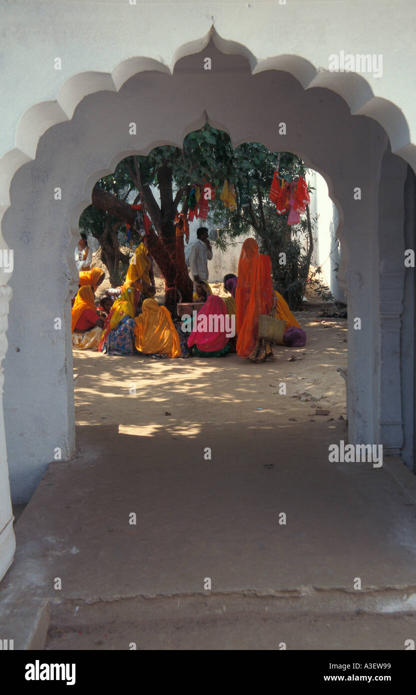 A group of women at a tree shrine Pushkar India Stock Photo - Alamy