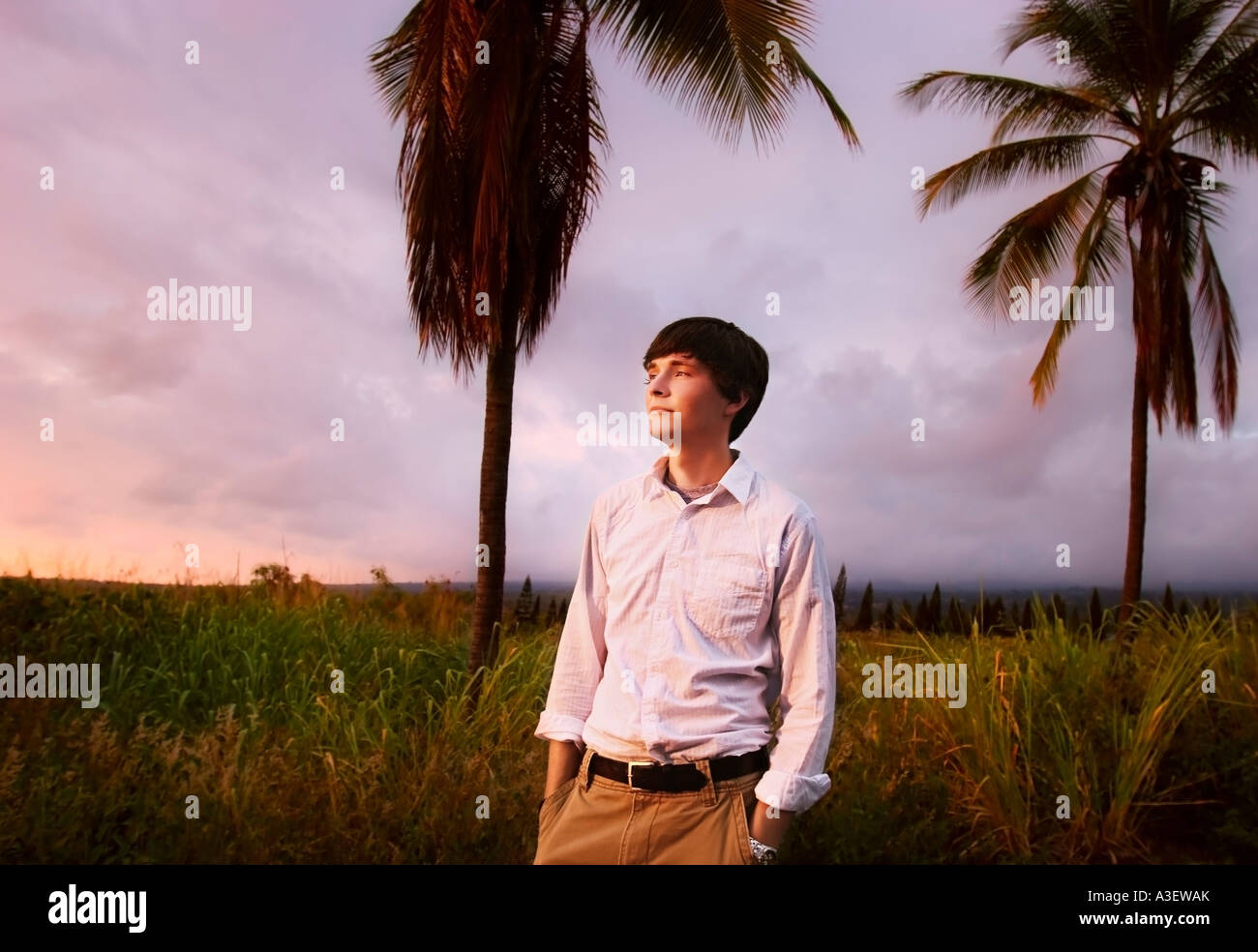 Man in Hawaii Stock Photo - Alamy
