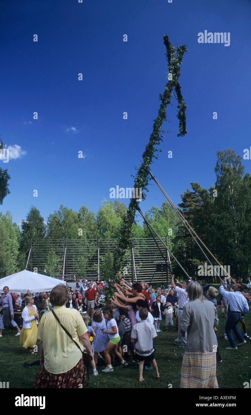 Raising the Midsummer Pole Midsummer Härnösand Sweden Europe Stock ...