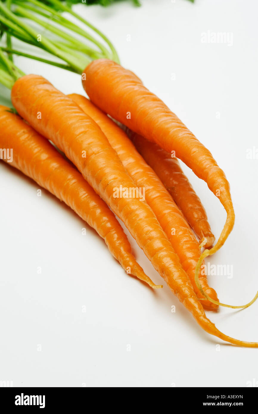 Bundle of fresh carrots Stock Photo - Alamy