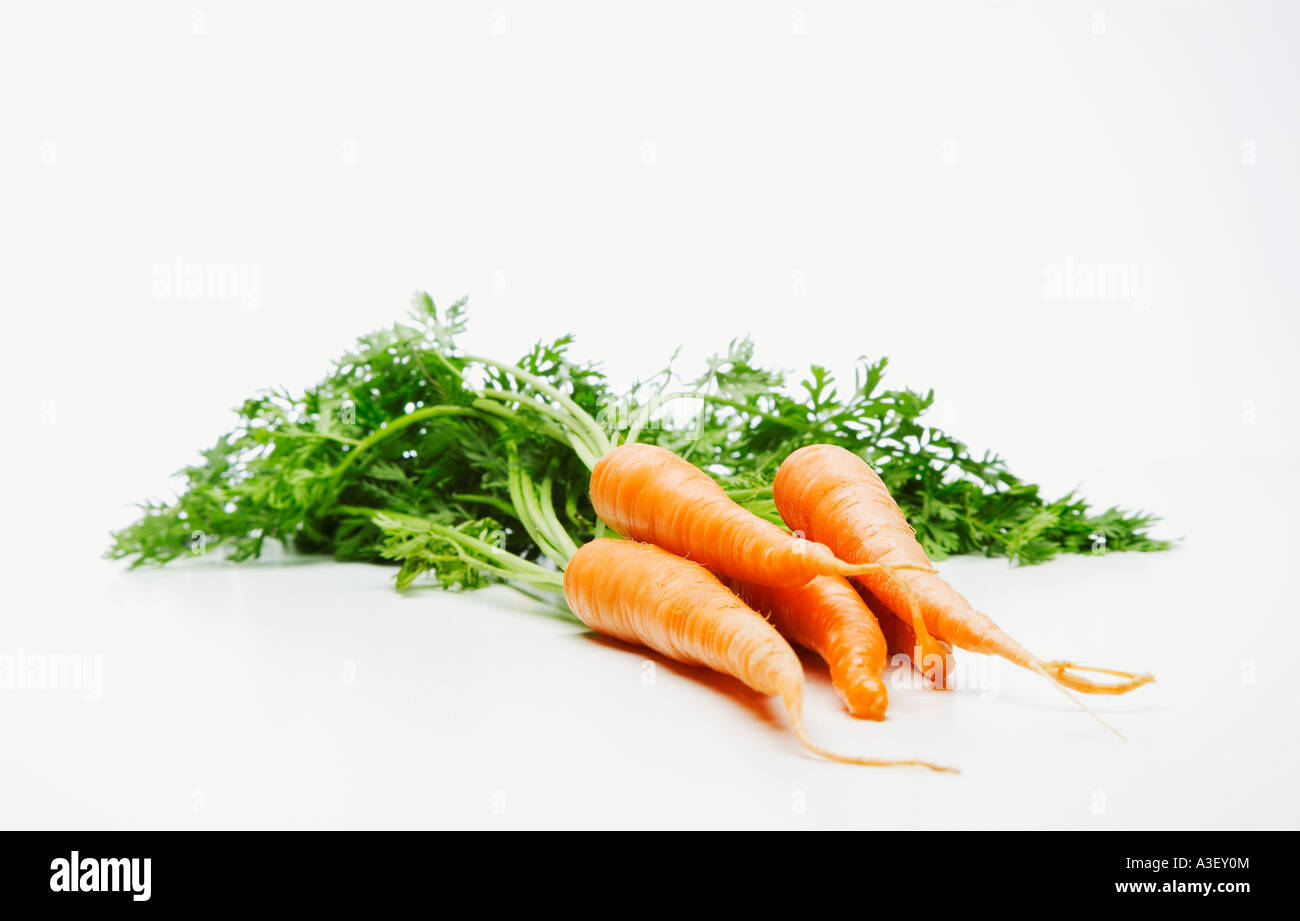 Bundle of harvested carrots Stock Photo - Alamy