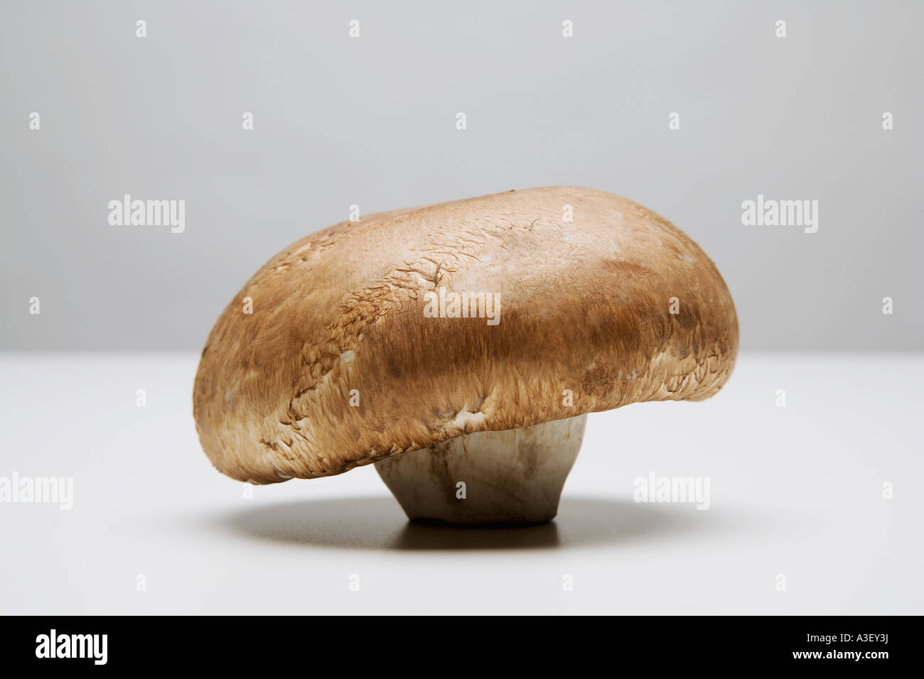 Button mushroom caps hi-res stock photography and images - Alamy