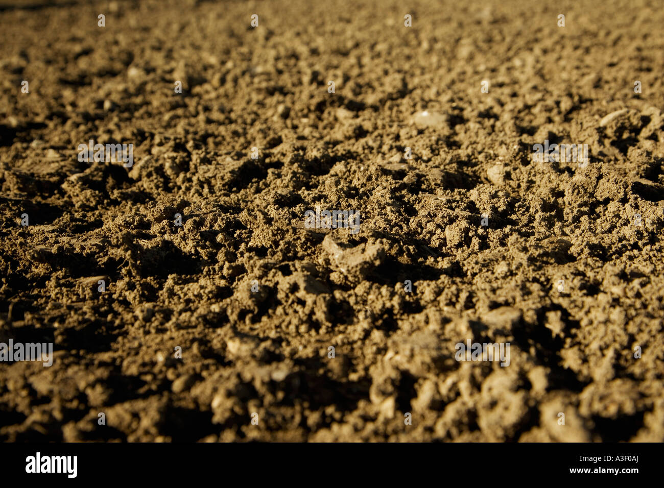 Macro of the ground Stock Photo - Alamy