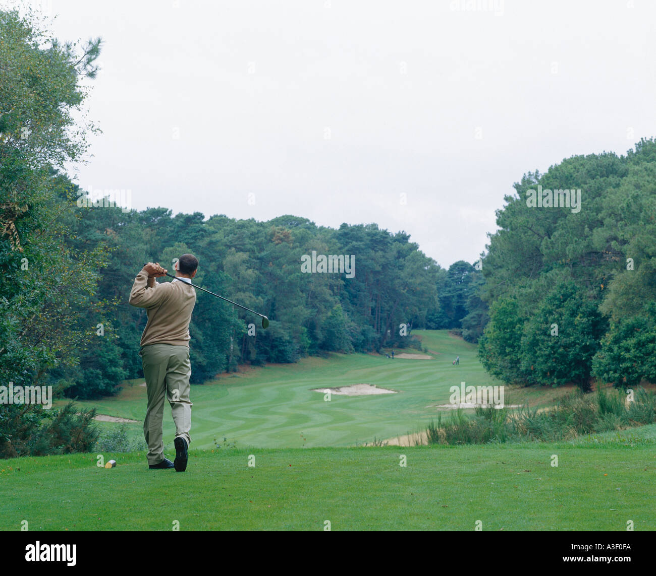 Golfer driving ball down the fairway Stock Photo - Alamy