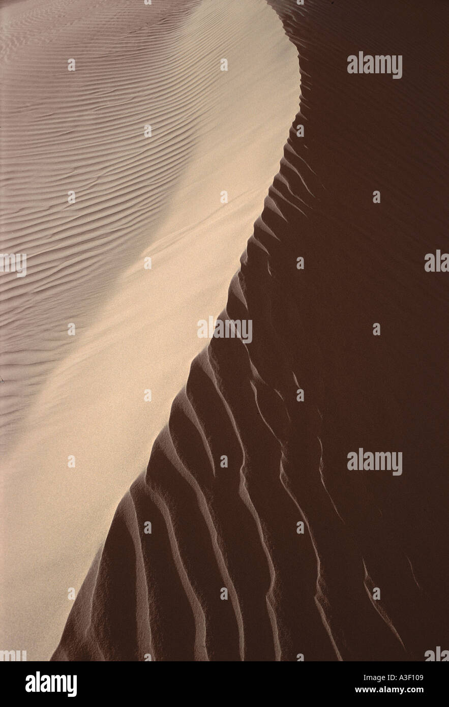 Death Valley sand pattern, desert sand dune ridge with sand pattern and ...