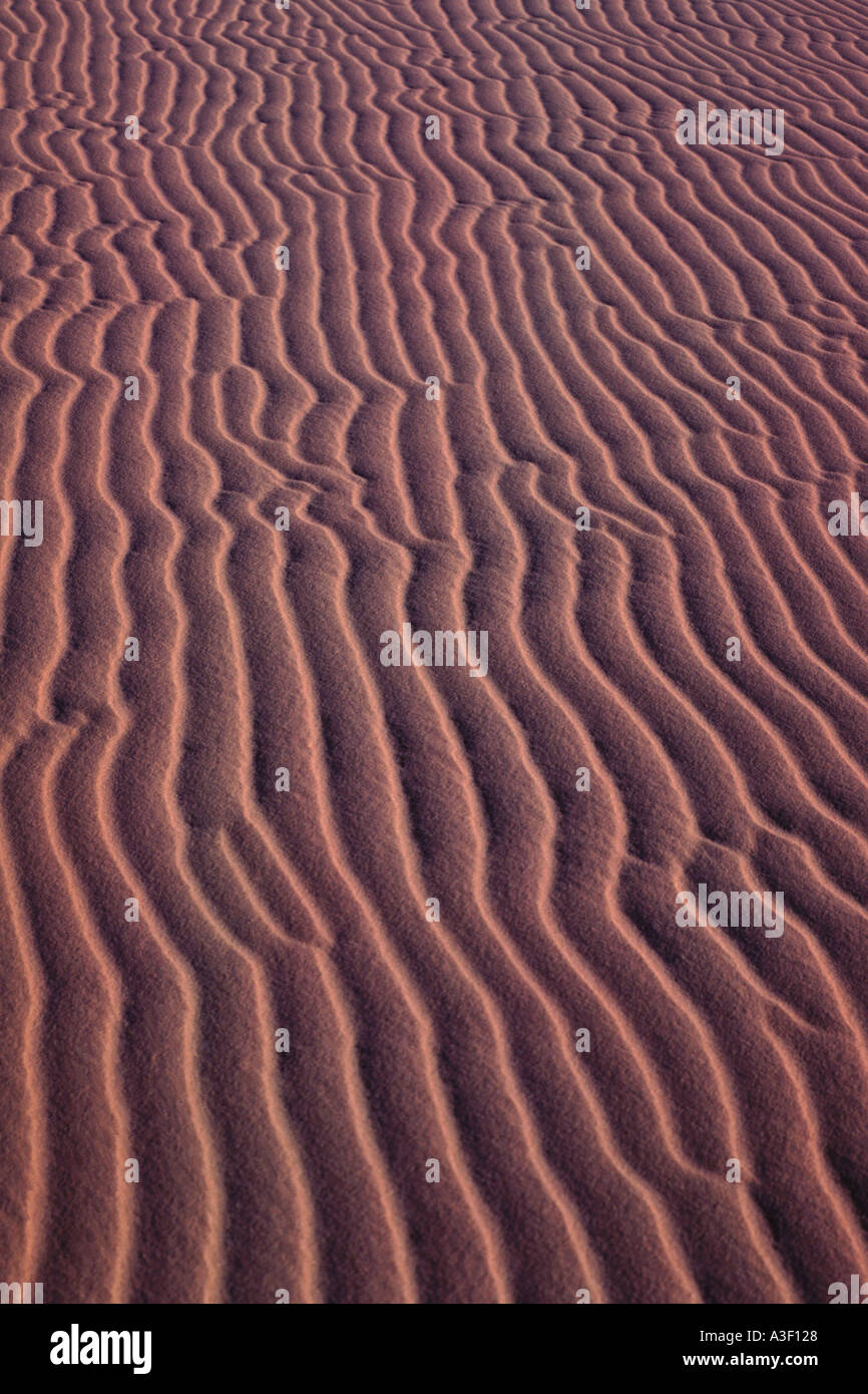 Sand patterns in the beach Canoa Quebrada Northeast of Brazil Stock ...