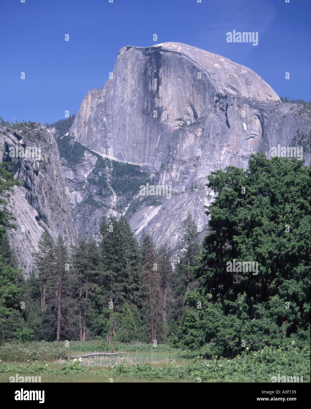 Half Dome Mountain Yosemite California Stock Photo - Alamy
