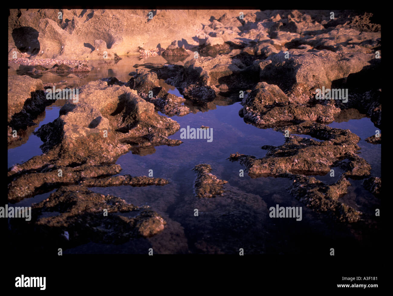 sea rock pool Stock Photo - Alamy