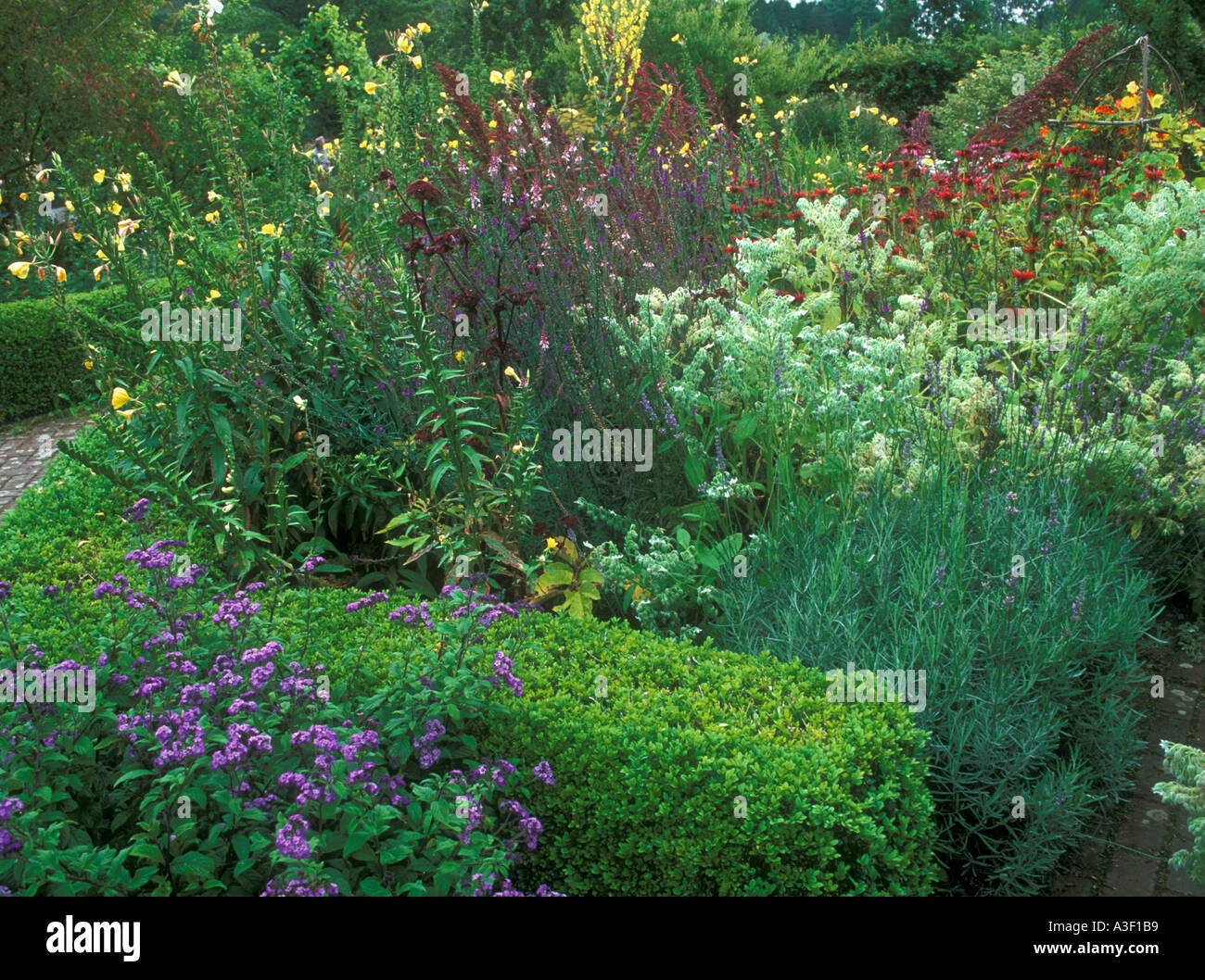 Mixture plants mix bed hi-res stock photography and images - Alamy
