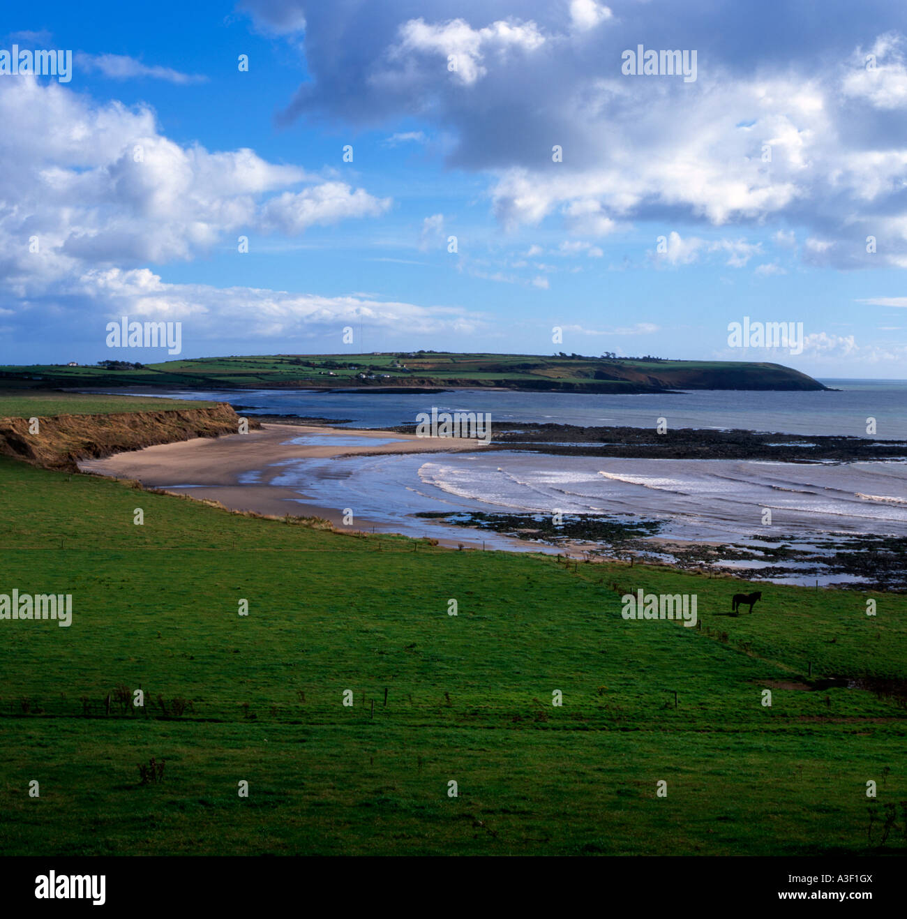 Whiting Bay near Ardmore County Waterford Ireland Eire Stock Photo - Alamy