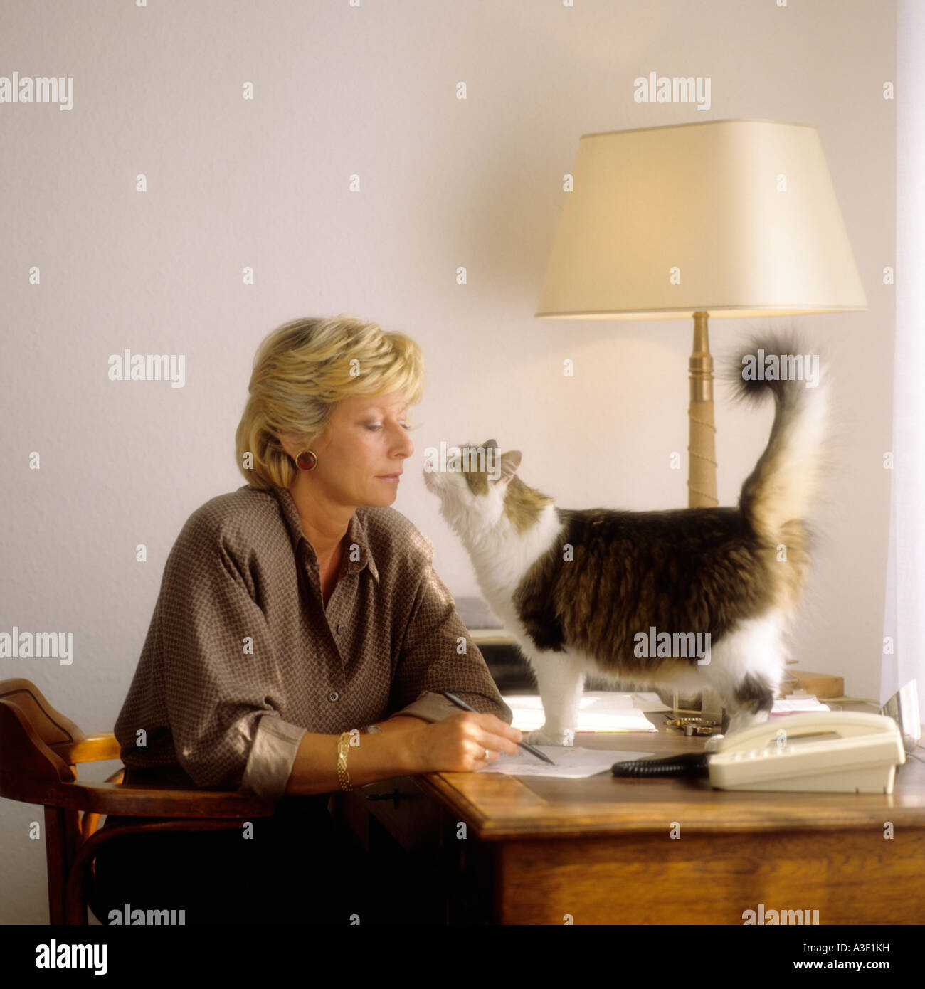 MR MATURE WOMAN AT DESK AND CAT Stock Photo - Alamy