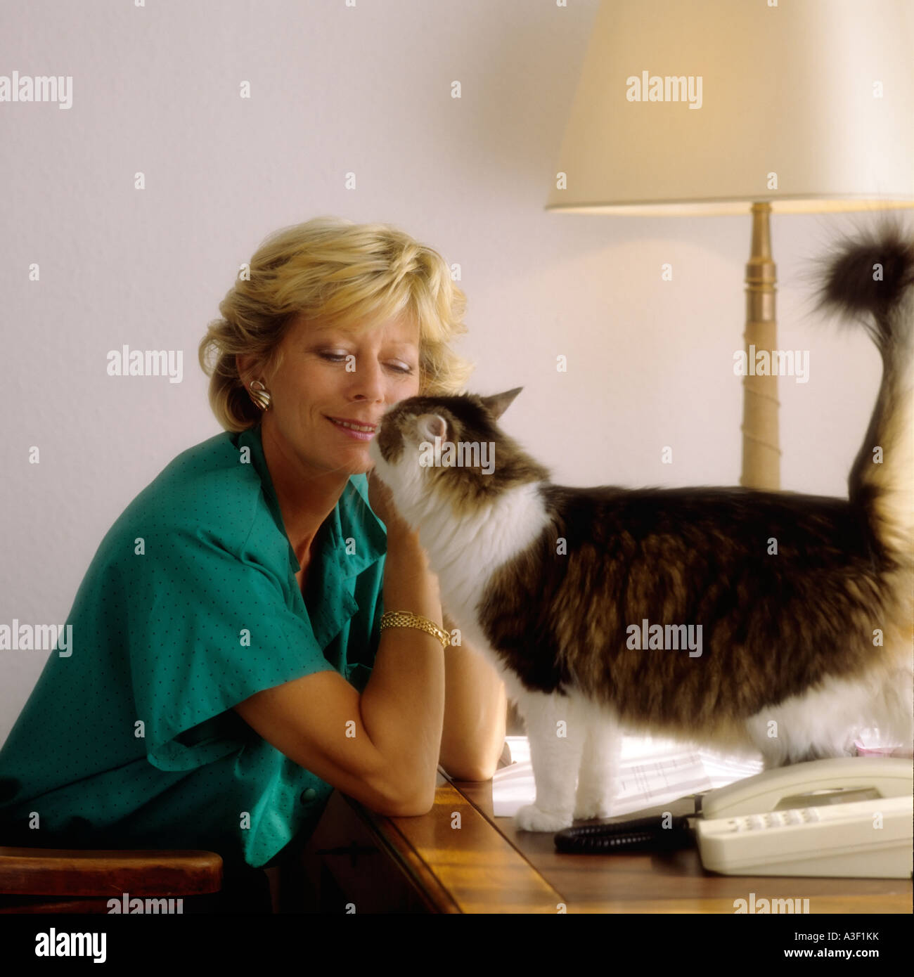 MATURE WOMAN AT DESK AND CAT Stock Photo - Alamy