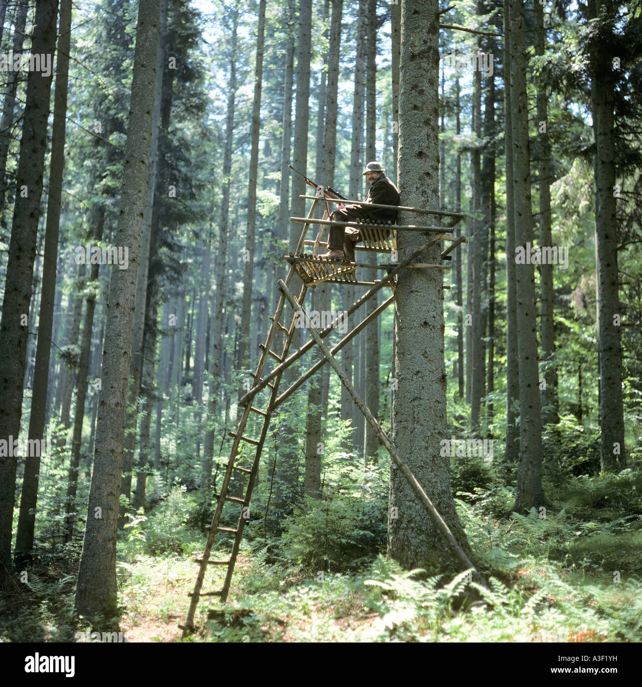 Hunter with gun on raised hide hi-res stock photography and images - Alamy