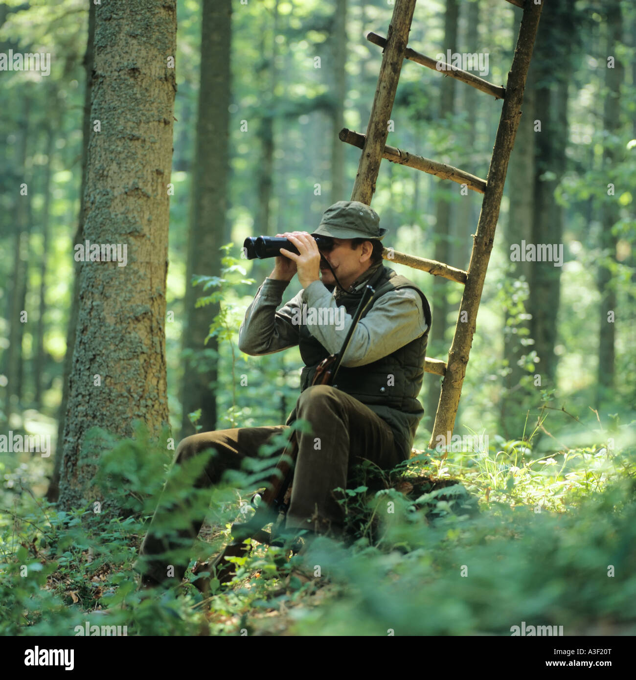 MR HUNTER WITH BINOCULARS IN THE FOREST OF THE VOSGES MOUNTAINS ALSACE ...