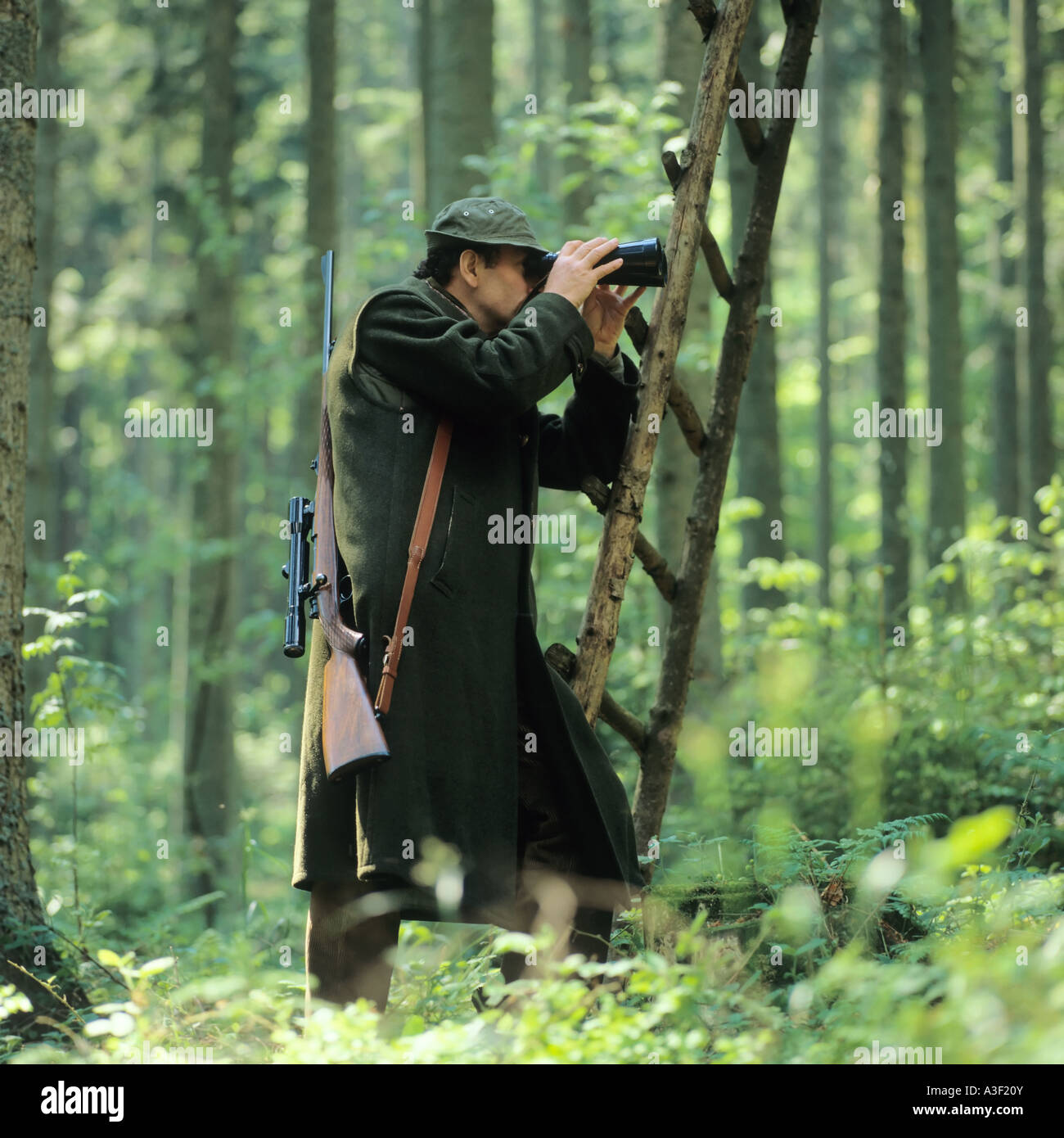 MR HUNTER WITH BINOCULARS IN THE FOREST OF THE VOSGES MOUNTAINS ALSACE ...