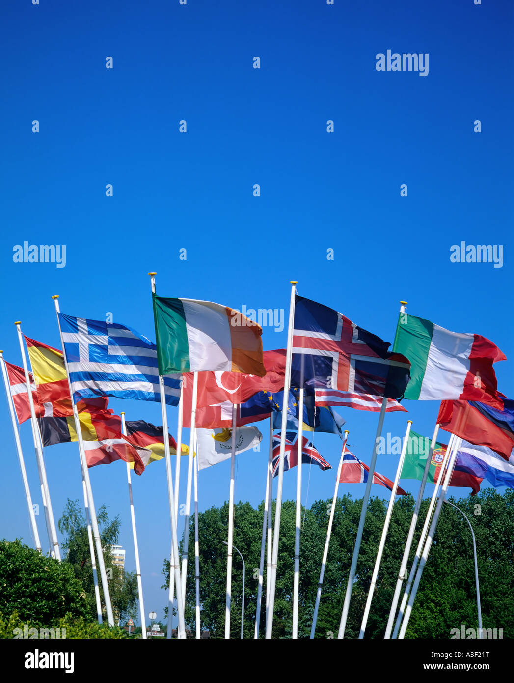 Assorted state flags hi-res stock photography and images - Alamy