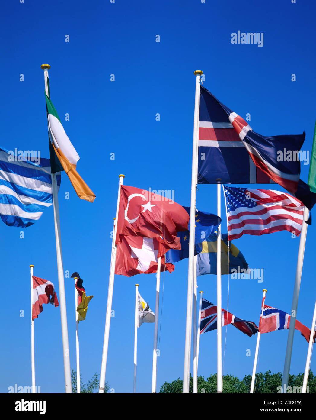 Assorted state flags hi-res stock photography and images - Alamy