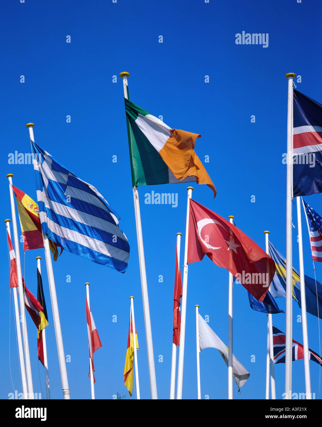 Assorted state flags hi-res stock photography and images - Alamy