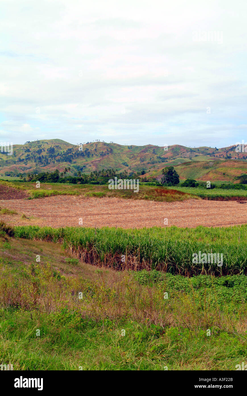 Fijian agriculture hi-res stock photography and images - Alamy