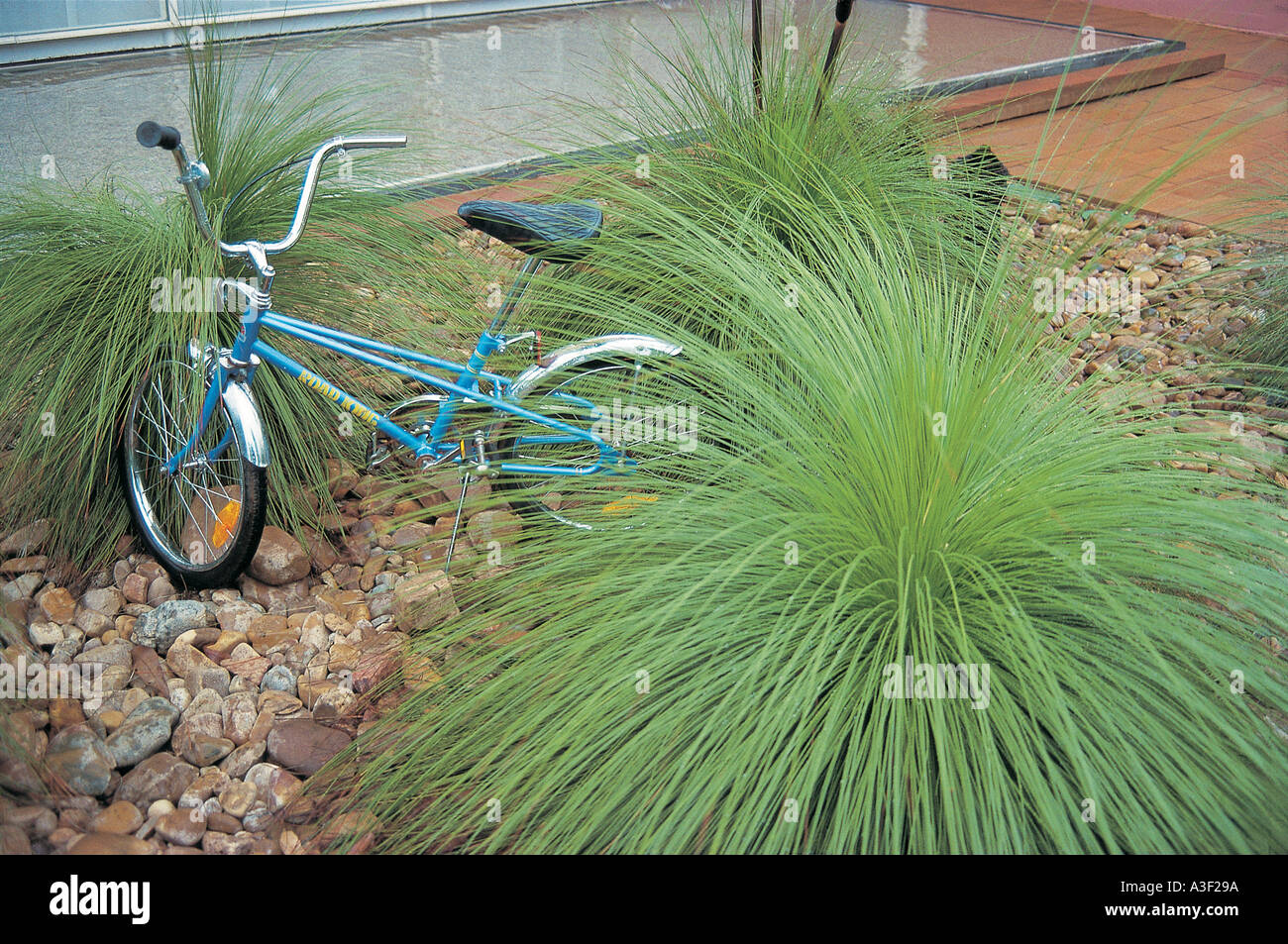 bicycle, cycle, pedal cycle, bike, push bike, cycle stand, bicycle ...