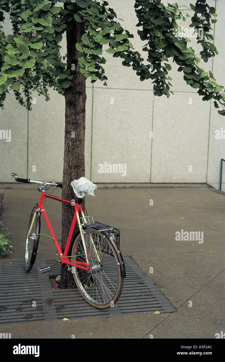 bicycle, cycle, pedal cycle, bike, push bike, cycle stand, bicycle ...