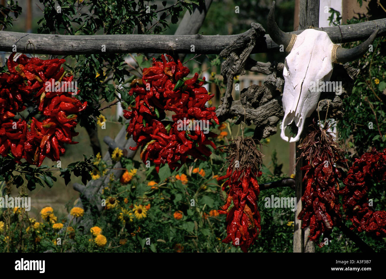 Velarde New Mexico Fall Harvest Festival Stock Photo - Alamy