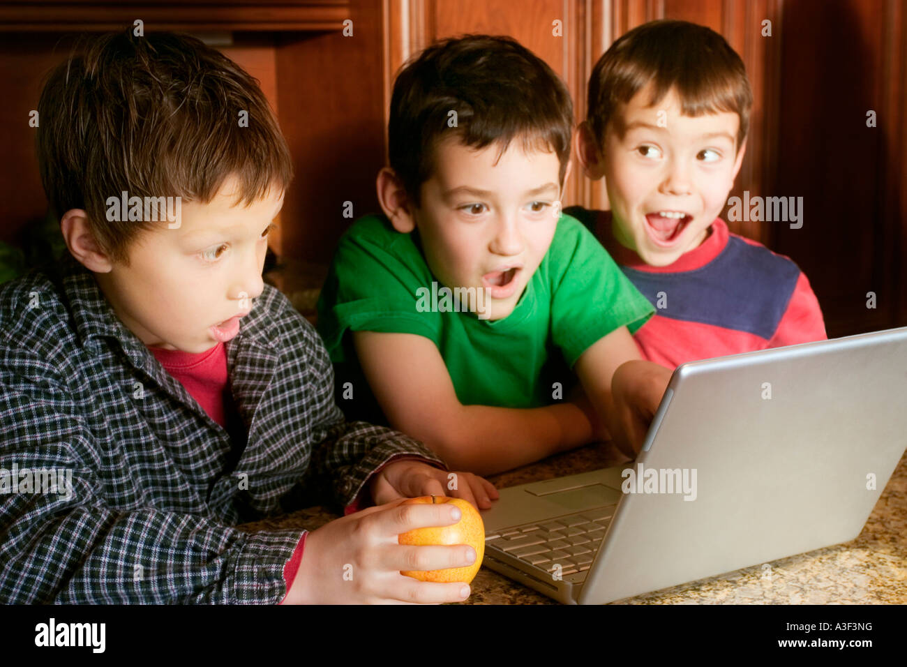 Boys looking at computer Stock Photo - Alamy