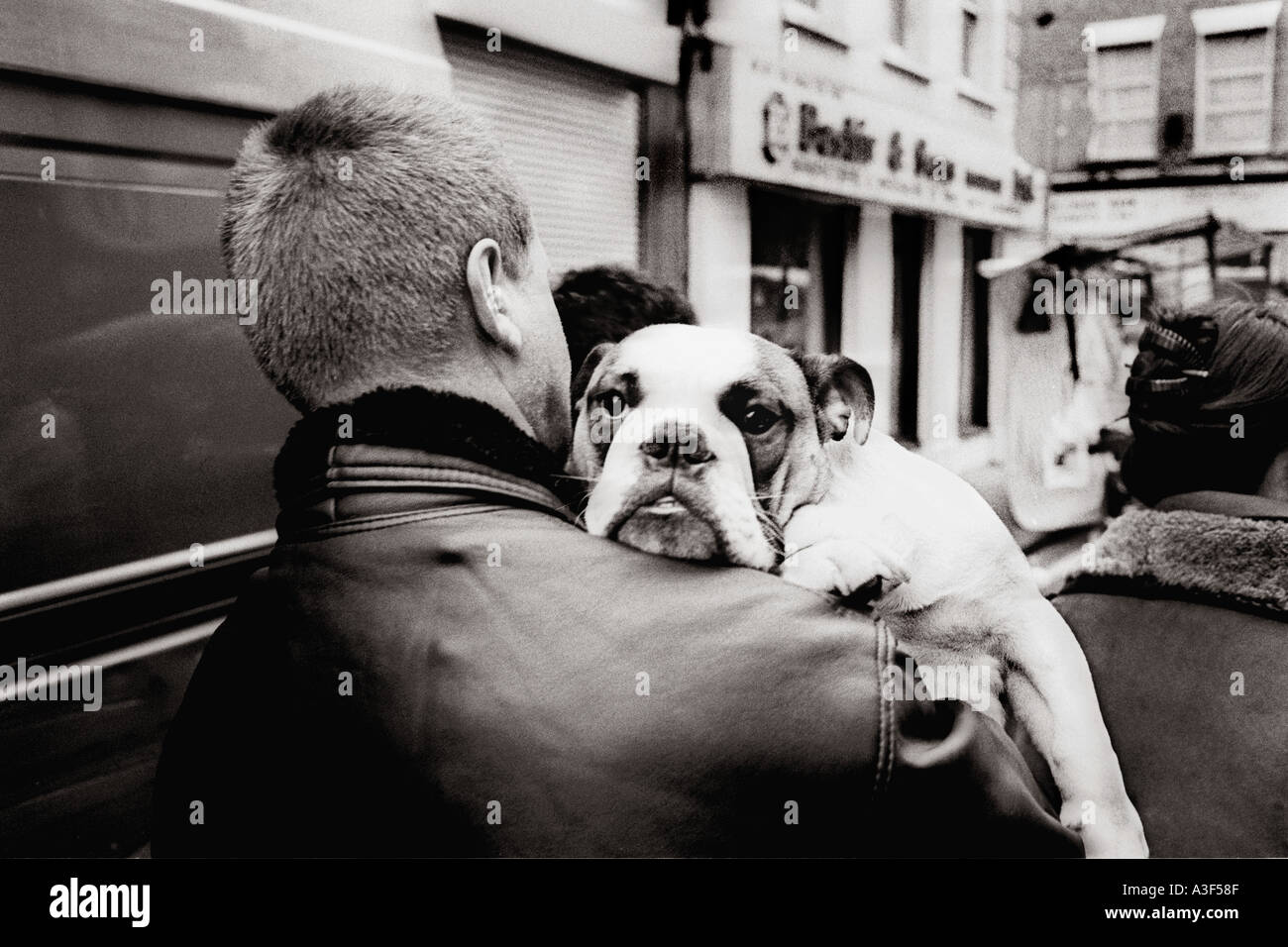 Man carrying his dog hi-res stock photography and images - Alamy