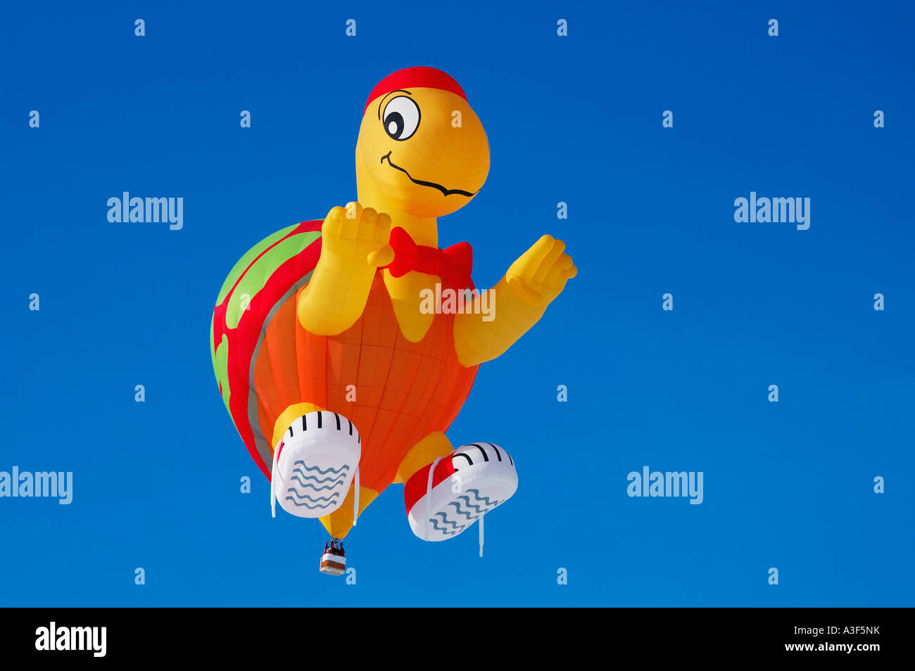 Balloon tortoise turtle wacky hi-res stock photography and images - Alamy