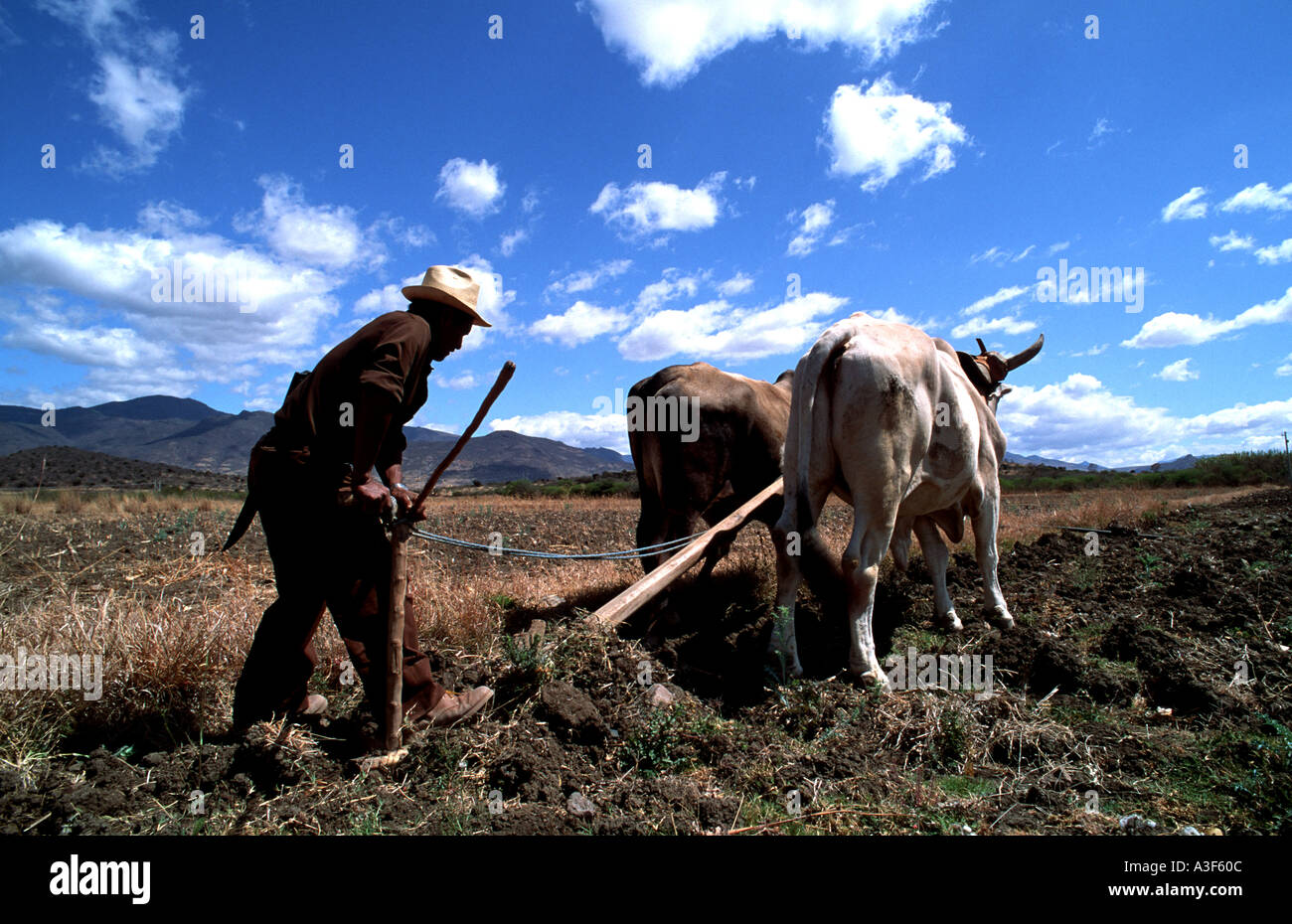 Oaxaca mexico farming hi-res stock photography and images - Alamy